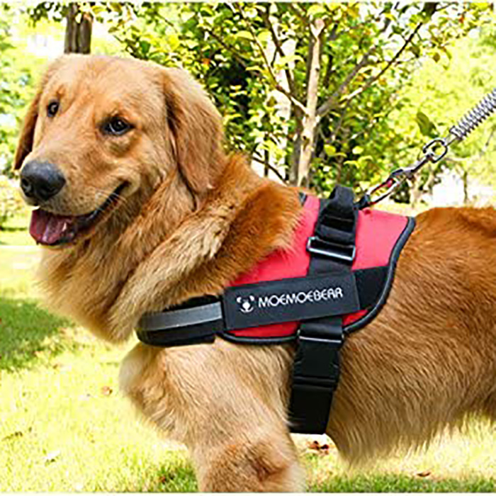 pechera para perros – HAPPY PETS CO