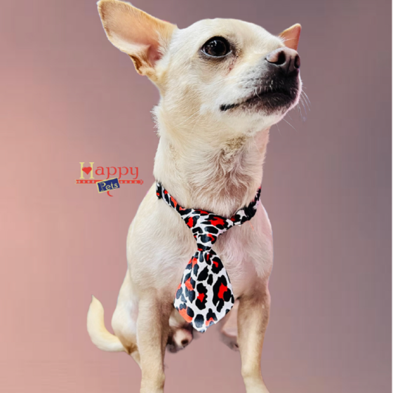 corbata para perro - Happy Pets Colombia