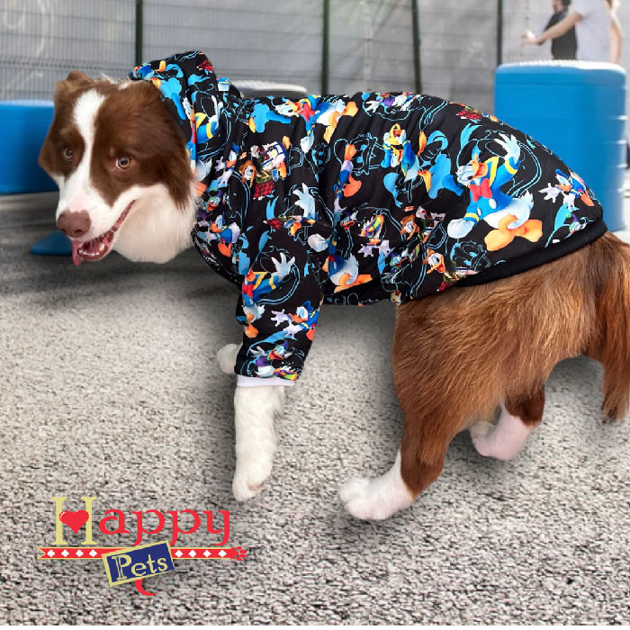 hoodie para perro – HAPPY PETS CO
